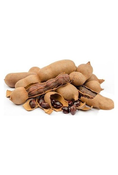 Serdar Çam Tohumculuk Ithal Tropikal Demirhindi Sweet Tamarind Demir Hindi Meyvesi Tohumu 3 Tohum Serdar Çam Tohumculuk Ithal Tropikal Demirhindi Sweet Tamarind Demir Hindi Meyvesi Tohumu 3 Tohum