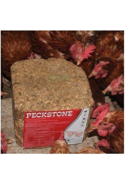 Royal İlaç Royal Avian Peckstone Gagalama Mineral Taşı 4 kg Royal İlaç Royal Avian Peckstone Gagalama Mineral Taşı 4 kg