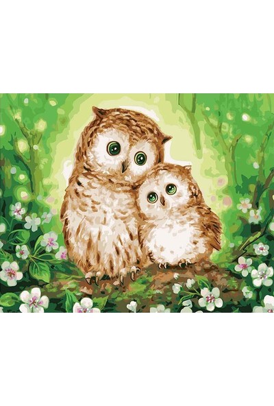 Womb Hobby Şirin Baykuşlar Sayılarla Boyama SetiTuvale Gerili 40 x 50 cm
