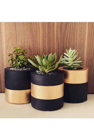 Bonopart 3lü Renkli Beton Kaktüs ve Sukulent Saksı Seti Bonopart 3lü Renkli Beton Kaktüs ve Sukulent Saksı Seti
