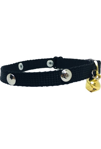 Muca Kedi Boyun Tasması No:34