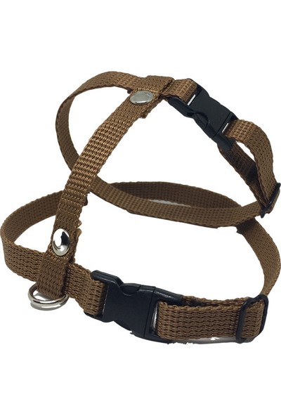 Muca Kedi Tasması ve Gezdirme Seti No:3