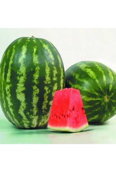 Tohumcumm Karpuz Tohumu 30 Adet Tohum Tohumcumm Karpuz Tohumu 30 Adet Tohum
