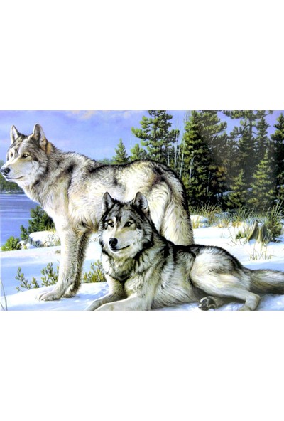 Laço Kids Kurtlar 500 Parça Puzzle