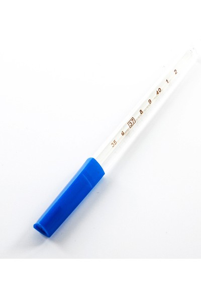 Mbw Koltukaltı Oral Kullanım İçin Cam Termometre Üçgen (Yurt Dışından)