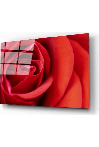idealizbiz Kırmızı Gül Cam Tablo
