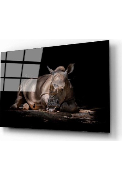 idealizbiz Gergedan Cam Tablo