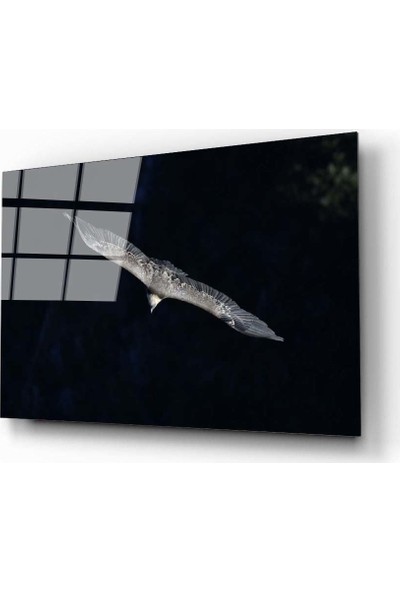 idealizbiz Kartal 2 Cam Tablo idealizbiz Kartal 2 Cam Tablo