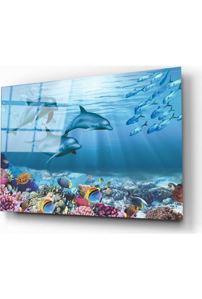 idealizbiz Su Alti Canlilari