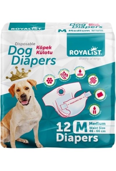 Royalıst Köpek Kilot Bez Medium 12 Li
