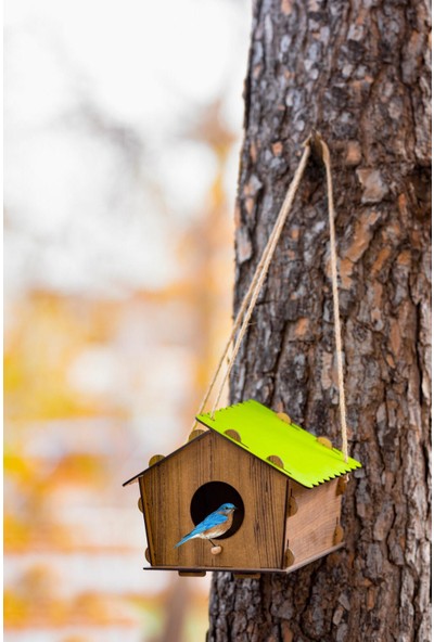 Gülpet Ipli Kuş Yuvası