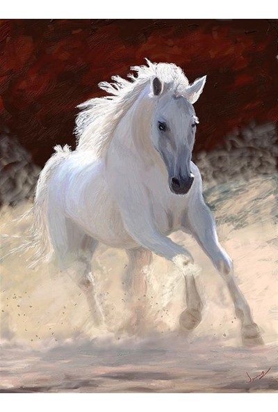 Marcel Sanat Marcel Sanat Beyaz At Elmas Mozaik Tablo 41 x 56 cm Marcel Sanat Marcel Sanat Beyaz At Elmas Mozaik Tablo 41 x 56 cm