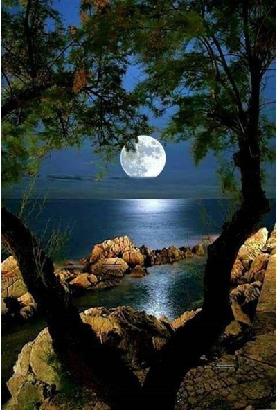 Marcel Sanat Dolunay Gecesi Marcel Sanat Elmas Mozaik Puzzle Tablo 41 x 61 Marcel Sanat Dolunay Gecesi Marcel Sanat Elmas Mozaik Puzzle Tablo 41 x 61