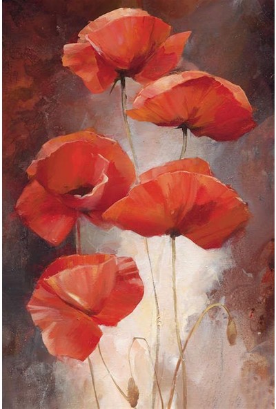 Marcel Sanat Marcel Sanat Kırmızı Gelincik Elmas Mozaik Tablo 38 x 56 cm Marcel Sanat Marcel Sanat Kırmızı Gelincik Elmas Mozaik Tablo 38 x 56 cm
