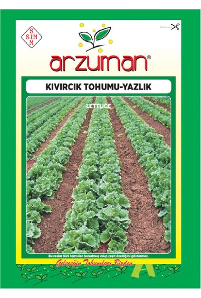 Arzuman Yazlık Marul - Kıvırcık Tohumu (10 Gr)