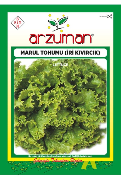 Arzuman Iri Kıvırcık Marul Tohumu 10 Gram