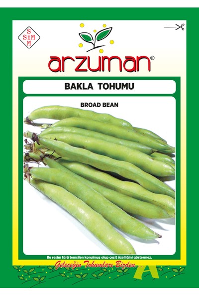 Arzuman Sakız Bakla Tohumu 50 Gram Arzuman Sakız Bakla Tohumu 50 Gram