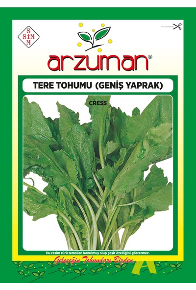 Arzuman Helen Tere Tohumu 25 Gram Arzuman Helen Tere Tohumu 25 Gram