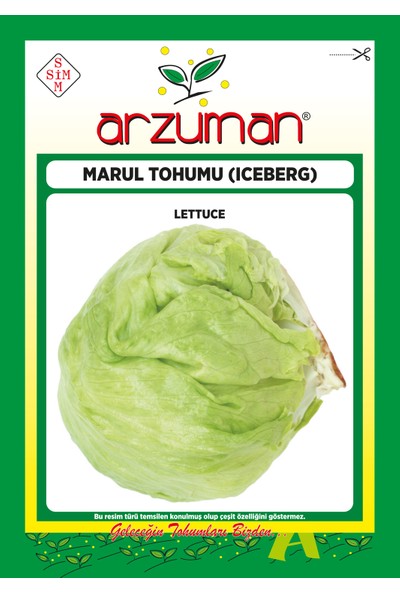 Arzuman Iceberg Marul Tohumu 5 Gram