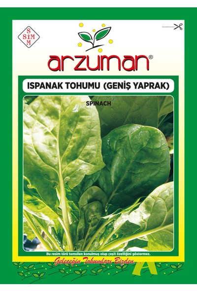 Arzuman (Ithal) Ispanak Tohumu 25 Gram Arzuman (Ithal) Ispanak Tohumu 25 Gram