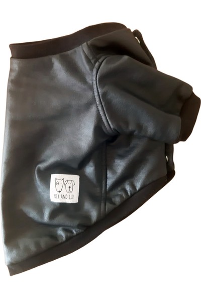 Oli And Lui Intense Deri Köpek Ceketi