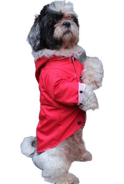 Oli And Lui Red And Dots Köpek Yağmurluğu