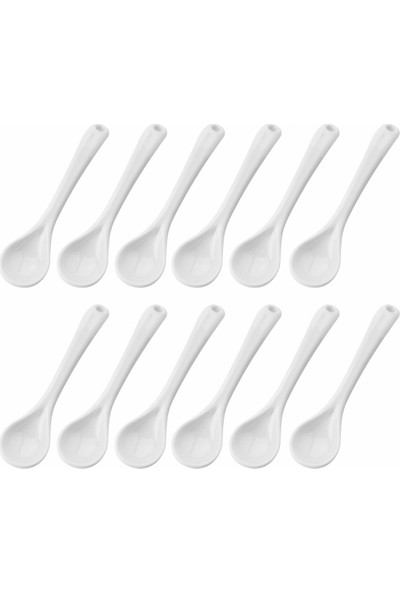 Queen's Kitchen 12 Adet Akrilik Baharat Kaşığı