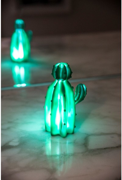 Arma House 3'lü Texas, Arizona, Vegas Kaktüs 3D LED Işık