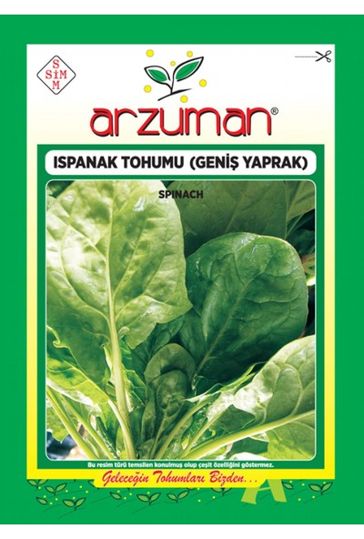 Arzuman Ispanak Tohumu Ithal (Matador Çeşidi) 25 gr Arzuman Ispanak Tohumu Ithal (Matador Çeşidi) 25 gr