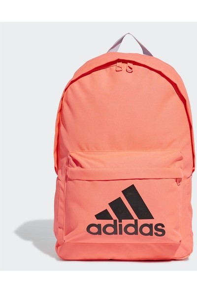 Adidas Classic Big Logo Çanta FT8763