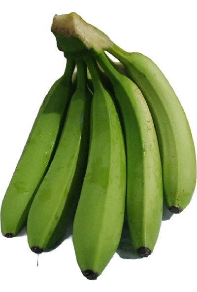 Alanya Özlem Olgunlaştırılıp Yenecek Muz 3 kg