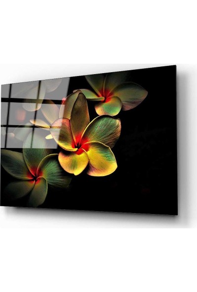 idealizbiz Renkli Çicek Cam Tablo