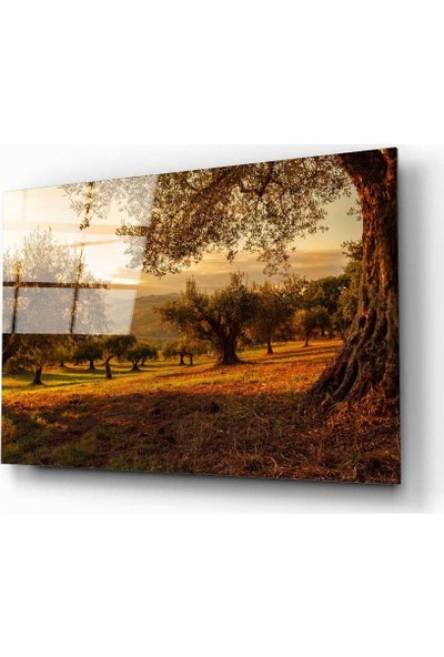 idealizbiz Son Bahar Cam Tablo