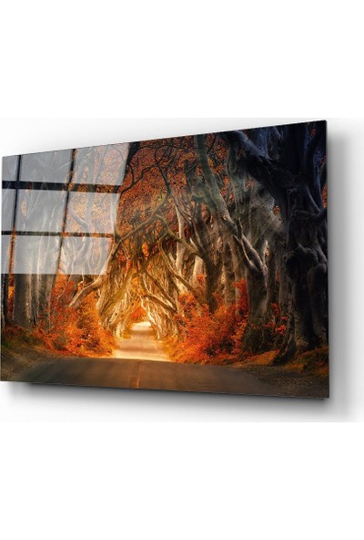 idealizbiz Orman Cam Tablo