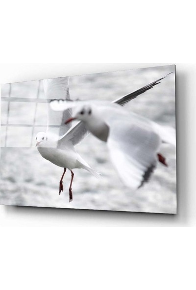 idealizbiz Martı 1 Cam Tablo