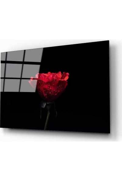 idealizbiz Damalı Gül Cam Tablo