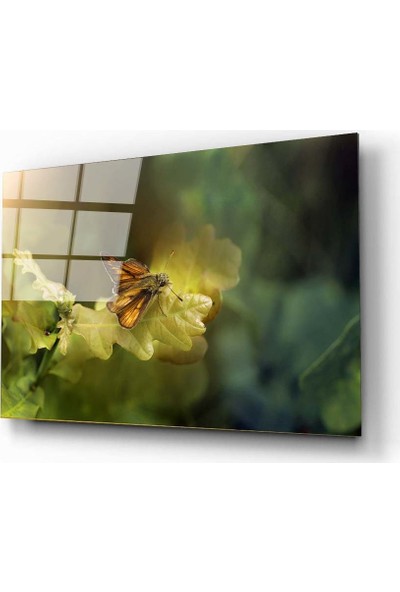 idealizbiz Kelebek 2 Cam Tablo