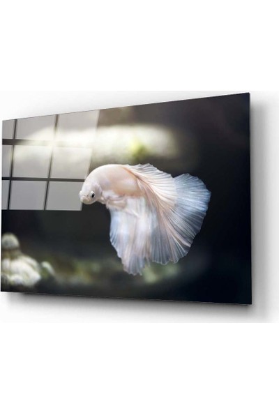 idealizbiz Balık Cam Tablo