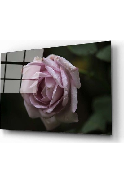 idealizbiz Gül Cam Tablo