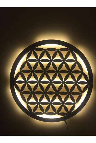 Dekoraven Yaşam Çiçeği LED Işıklı Tablo