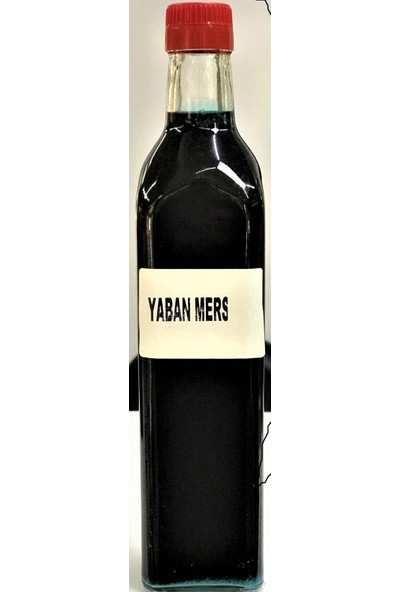 Saruhanlı Birlik Yabanmersini Özü 1 E 3 Konsantre 720 gr