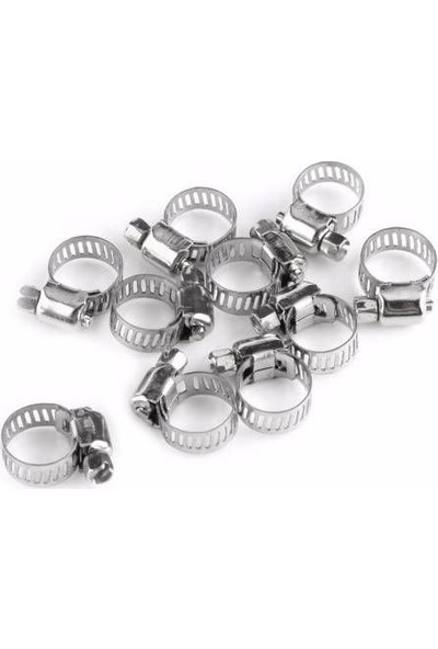 Biotech 10'lu Hortum Kelepçe Ayarlanabilir Çelik