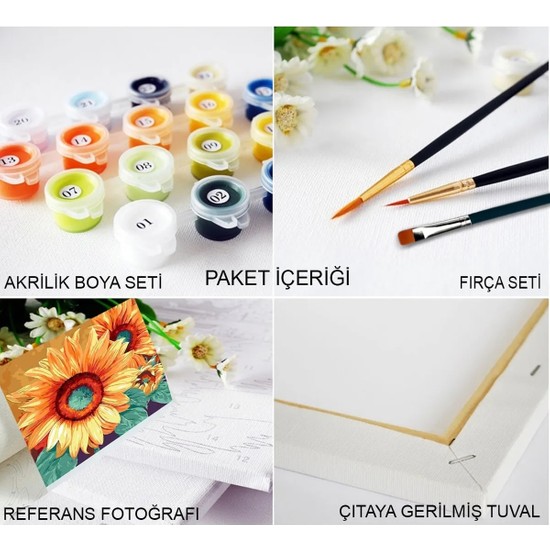 Lamba Cini Sayılarla Boyama Kasnaklı Tablo Seti Fırça Boya Fiyatı