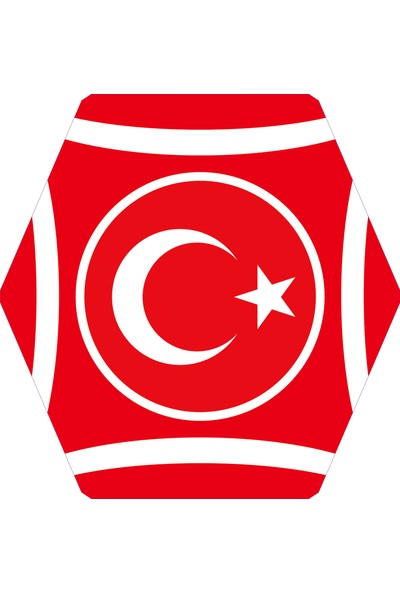 Onur Uçurtma Türk Bayraklı Plastik Altıgen Uçurtma Onur Uçurtma Türk Bayraklı Plastik Altıgen Uçurtma