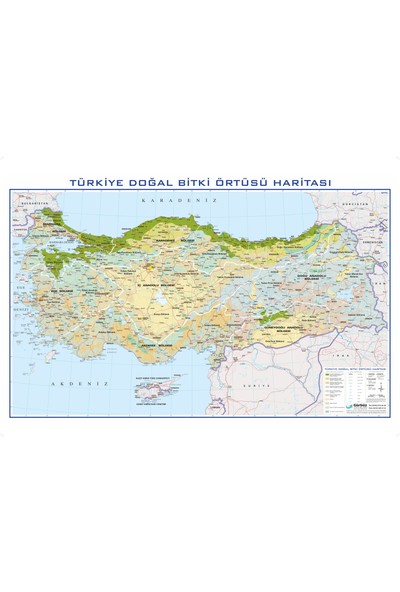 Gürbüz Yayınları Türkiye Bitki Örtüsü 70 x 100 cm