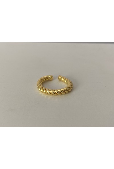 Gülüş Gümüş Burgu Kıkırdak Küpe Altın Kaplama