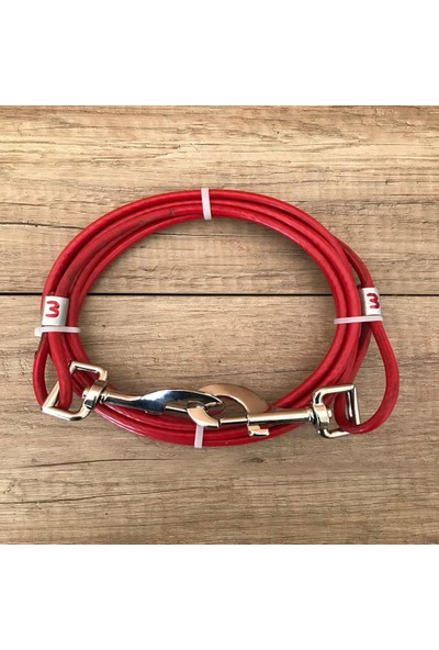 Lidersan Çelik 6 mm 3 Metre Köpek Bahçe Bağlama Halatı