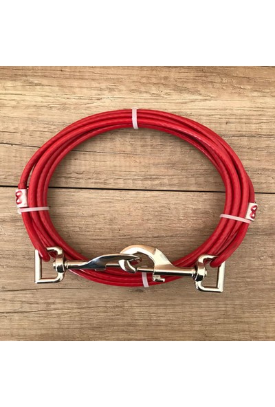 Lidersan Çelik 6 mm 8 Metre Köpek Bahçe Bağlama Halatı Lidersan Çelik 6 mm 8 Metre Köpek Bahçe Bağlama Halatı