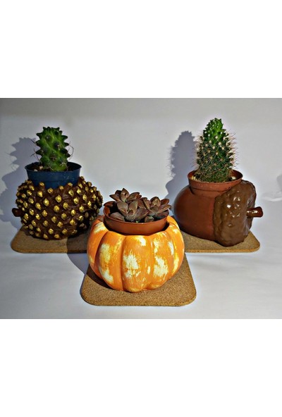Oksu Kokulu Taş Palamut + Kozalak + Kabak 3 Lü Set Mini Tasarım Saksılar Oksu Kokulu Taş Palamut + Kozalak + Kabak 3 Lü Set Mini Tasarım Saksılar