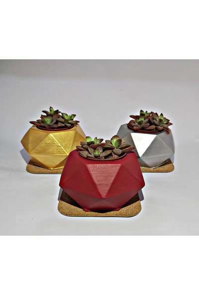 Oksu Kokulu Taş 3lü Prizma Kaktüs Sukulent Saksı Seti Kırmızı Gümüş Altın Rengi Oksu Kokulu Taş 3lü Prizma Kaktüs Sukulent Saksı Seti Kırmızı Gümüş Altın Rengi